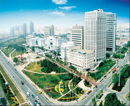 Director: Dalian hi-tech flagship