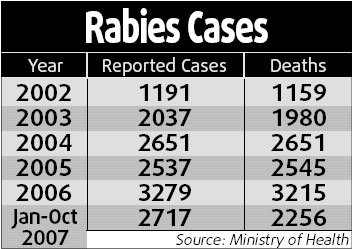 Rabies cases rise, pose greater threat to health - Chinadaily.com.cn