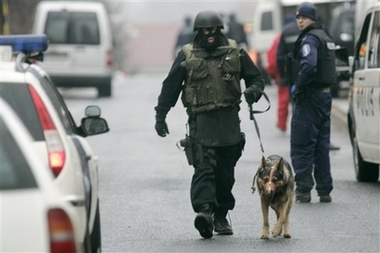 Eight killed in Finnish school shooting