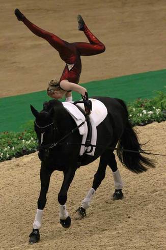 World Vaulting Championship