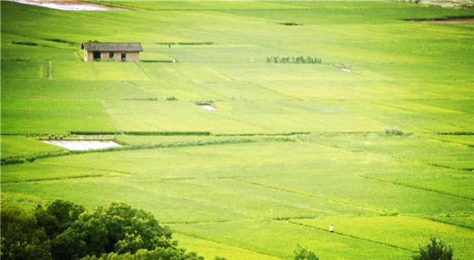 Beijing: Four Seasons, all seasons - Lifestyle - Chinadaily.com.cn