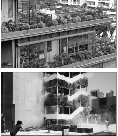 Clean, green cities poised to take shape - Chinadaily.com.cn