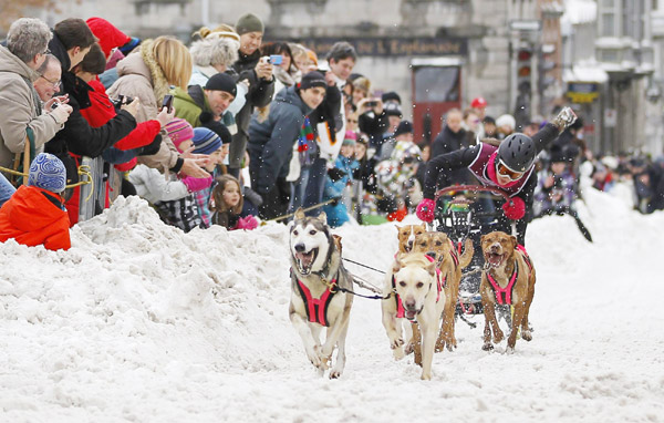 Dog sled race|Travel|chinadaily.com.cn