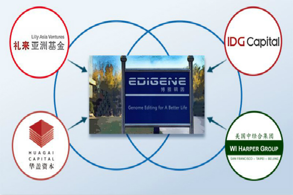 EdiGene triumphs in pre-B fundraising