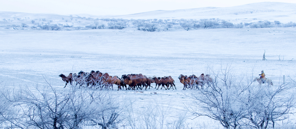 Inner Mongolia Autonomous Region