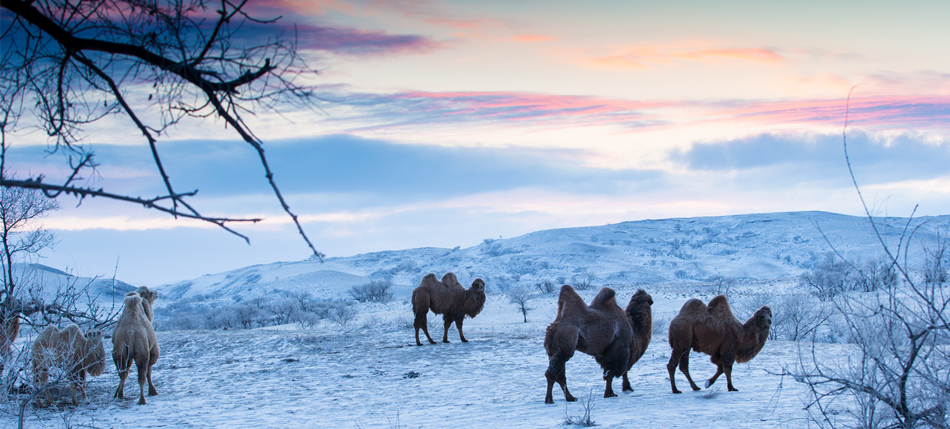 Inner Mongolia Autonomous Region