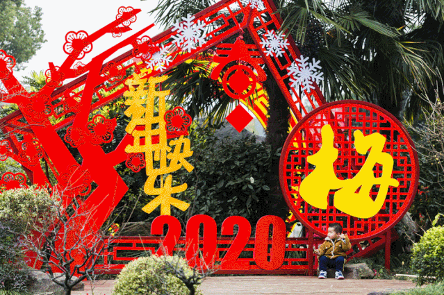 Binhu turns red as New Year approaches