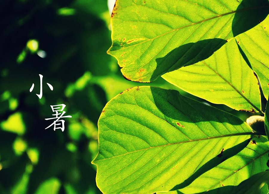 Six things you may not know about Minor Heat[1]- Shandong Culture