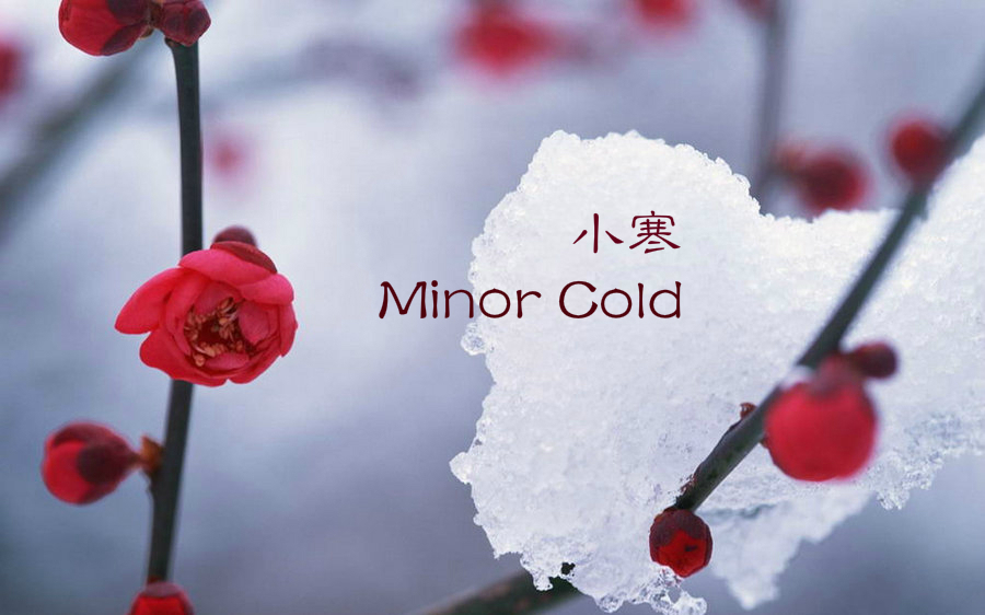 24 Solar Terms: 6 things you may not know about Minor Cold[1]- Shandong ...