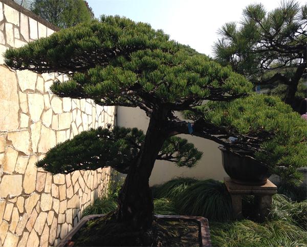 Faezeh Zareey,Shanghai - Opinion - Chinadaily.com.cn