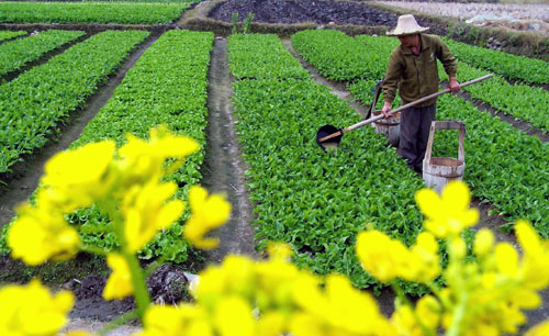 Farming begins in south China