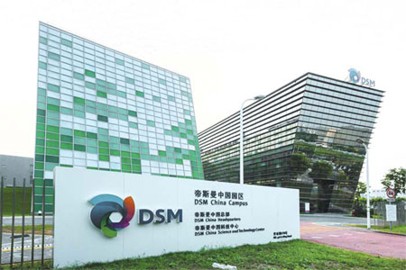 Industry Special: Royal DSM: Expertise in sustainability|Sunday Special ...