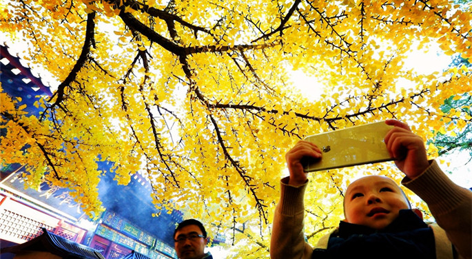 Chifeng introduces winter tour options to Beijing - Lifestyle ...